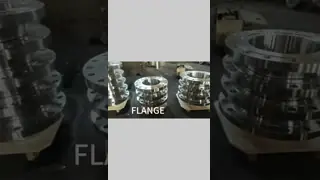 China High Strength Raised Face Weld Neck Flange N06600 CL300 RF WN RJ SS for sale