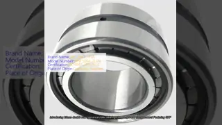 20mm Inner Dimension Double Row Cylindrical Roller Bearings For Pumps And Compressors