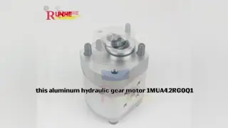 1MUA4.2RG0Q1 Hydraulic Gear Motor Product Showcase