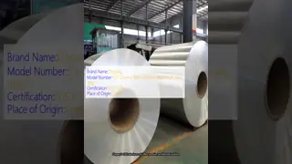 Aluminum Alloy 1060 Aluminum Coil for Architectural Decorative Panels (0.6–1.0 mm | 1000–1250 mm Width | Anodized Silver)