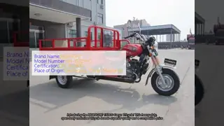 Open Body Heavy Load 150CC Cargo Tricycle / Three Wheel Cargo Motorcycle