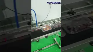 Syscode H200  High-Performance Thermal Inkjet Coder - Compatible with water/solvent/UV inks, supports variable data printing, 200m/min high-speed printing