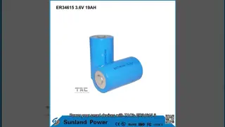 ER34615 3.6V  19AH BATTERY Used In  Smart Electricity Meters Water Meters Gas Meters Heat Meters Memory Backup Power Supplies Radio Alarms Automot