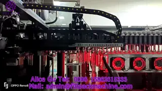 2111 K10 Automatic Single-Station Two-Bottle Blow Molding Machine