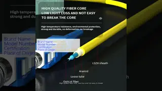 Colorful Fiber Optic Pigtail Length Customized Lengths 1m/2m/3m SM MM