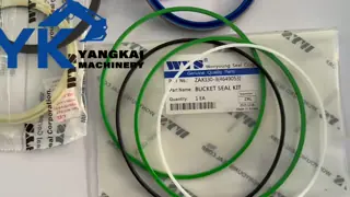 Introduce Hydraulic Bucket Cylinder Seal Kit 4649053 For ZAX330-3 EX300-5 For You