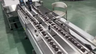 China Fully Automatic Stacked Biscuit Packaging Machine | High-Speed Vertical Pouch Packing Line for sale