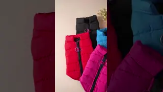 A Closer Look: Adjustable Waistband Glow-in-the-Dark Dog  Clothes Winter Jacket