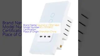 China Italy 16A Smart Life 2 Gang Wifi Switch 50/60Hz With Socket for sale