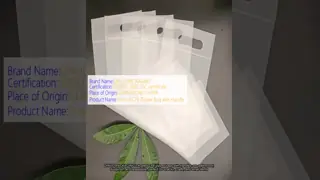 Moisture-Proof and Durable Frosted CPE Resealable Zipper Bags With Handle For Food And Small Items