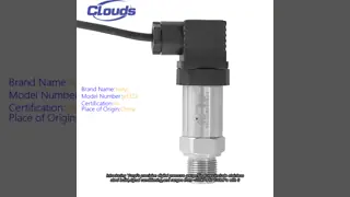 산업용 신호 조정 회로 및 스테인리스 스틸 압력 연결부가 있는 정밀 디지털 압력 게이지