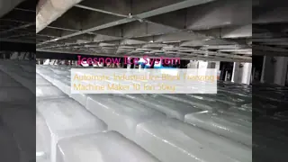 China Automatic Industrial Ice Block Freezing Machine Maker 10 Ton 50kg for sale
