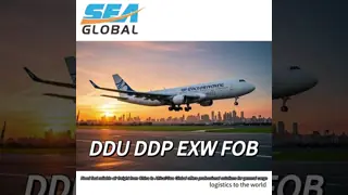 China Professional Air Freight and Shipping Logistics from China to South Africa with Customs Clearance Included and 24/7 Multilingual Support for General Cargo under EXW/FOB/DDU/DDP for sale