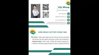 High Security Razor Wire For Home Walls