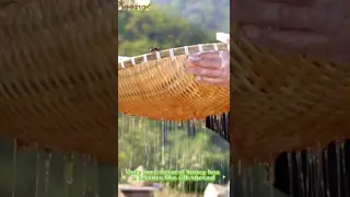 China Wholesale Natural Bee Honey Sidr Honey 100% Natural Bee Products from China for sale