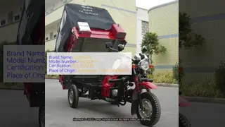 China Cargo Chinese 3 Wheel Motorcycle 150CC Motorized with Carriage Cover for sale