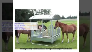Hot Dip Galvanised Steel Horse Slow hay Save Feeder with Roof