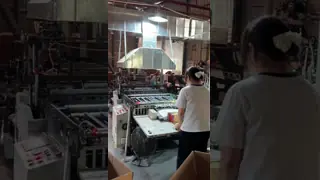 Large-Scale Factory Mass Production Line Footage