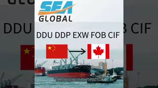 China Reliable Ocean Freight and Sea Freight Services from China to Saint John with 24/7 Support, Warehousing, and Customs Clearance for sale