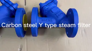 China Steam Flange Strainer Carbon Steel DIN 16bar 25bar Double Layer Screen Y Type for sale