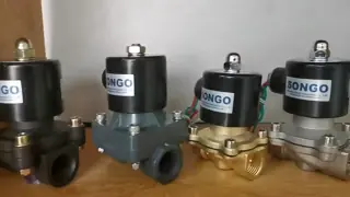 China 2W Brass Solenoid Valve 220VAC Normally Close Direct Acting 10bar For Water for sale