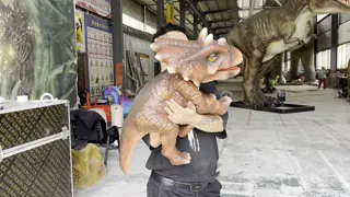 China Light Weight Easy Control Realistic Dinosaur Puppet Full Body Small Aniamtronic Dinosaur Hand Puppet for sale