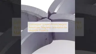 China Customized Sintered Ferrite Magnet Anisotropic Magnetic Orientation for Magnetic Property for sale