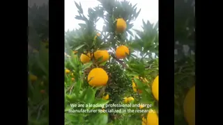 China Organic Fruit Tree Fertilizer Plant Based 100% Water Soluble Magnesium Chelated for sale
