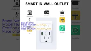 China 15A 125V WiFi Smart Outlet with PD20W Fast Charging - Voice Control & App Remote Management for sale