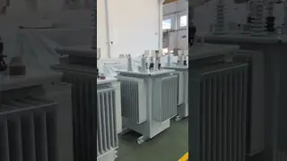 Introduce 333kVA Oil-immersed Distribution Transformer For You