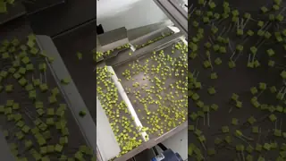 Automatic counting packing machine for capacitor elecronic components