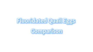 China 0.5g 10 Set Natural Resin Teeth Varnish Protection Teeth Sensitivity for sale