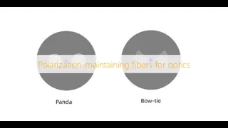 Polarization Maintaining Fibers for Optics