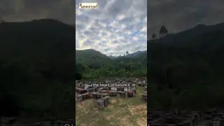 China Pure Natural Bee Honey Residues Free Multi Flower Honey 100% Pure Raw Honey for sale