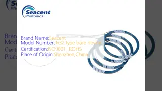 Fiber Optic Splitter 1x32 High Ratio