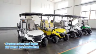 Electric Golf Cart 50km Range