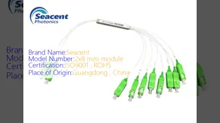 Fiber Optic Splitter Mini Module 2x8 SC/APC