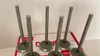 China D6E D6D Engine Valve Intake Exhaust 20798699 20798533 For Engine BFM2012 Excavator EC210 EC210B EC240B EC220 for sale