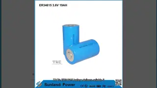 China ER34615 3.6V  19AH BATTERY Used In  Smart Electricity Meters Water Meters Gas Meters Heat Meters Memory Backup Power Supplies Radio Alarms Automot for sale