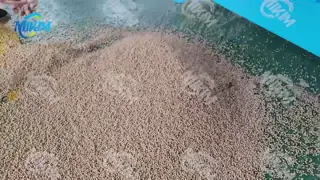fish feed extruder machine manufacturer Floating & Sinking Fish Feed Machines