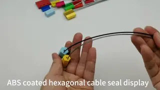 Hexagonal Disposable Cable Seals Secure Packages