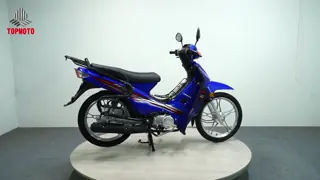 ZF110-ST