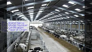 Airport Steel Roofs 150m Span Column Free