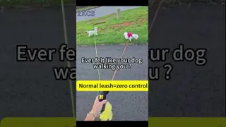 Keep your hands free and your dog close with silicone dog leash