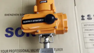 Electric needle valve