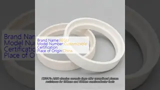 High-Purity Alumina A998 (99.8%) Ceramic Rings for 200mm and 300mm Semiconductor Tools with Exceptional Plasma Resistance