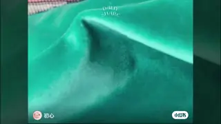 China Italy Bronze Velvet Fabric 300gsm Curtain Material Velvet High Durability For Curtain for sale