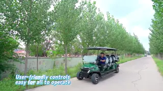 Electric Golf Cart 50km Range Utility