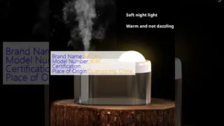 Upgraded USB Humidifier Gentle Night Light Dual Spray