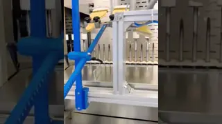Automatic UV Spraying Line With Double Doors PVD Vacuum Machine